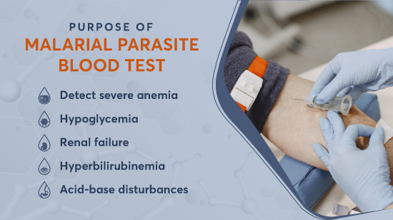 Malarial Parasite Test: Price, Report & Procedure | Mediyaar Healthcare