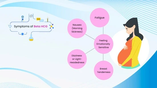 Beta HCG Test Price, Report, Procedure, Symptoms